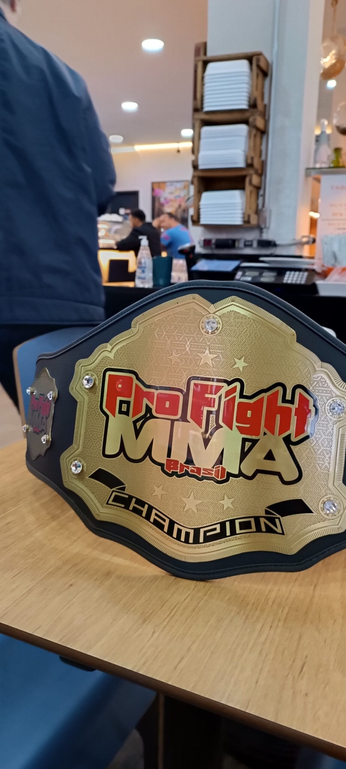 Pro Fight MMA Brasil no Pelezão - Observatório Leopoldina